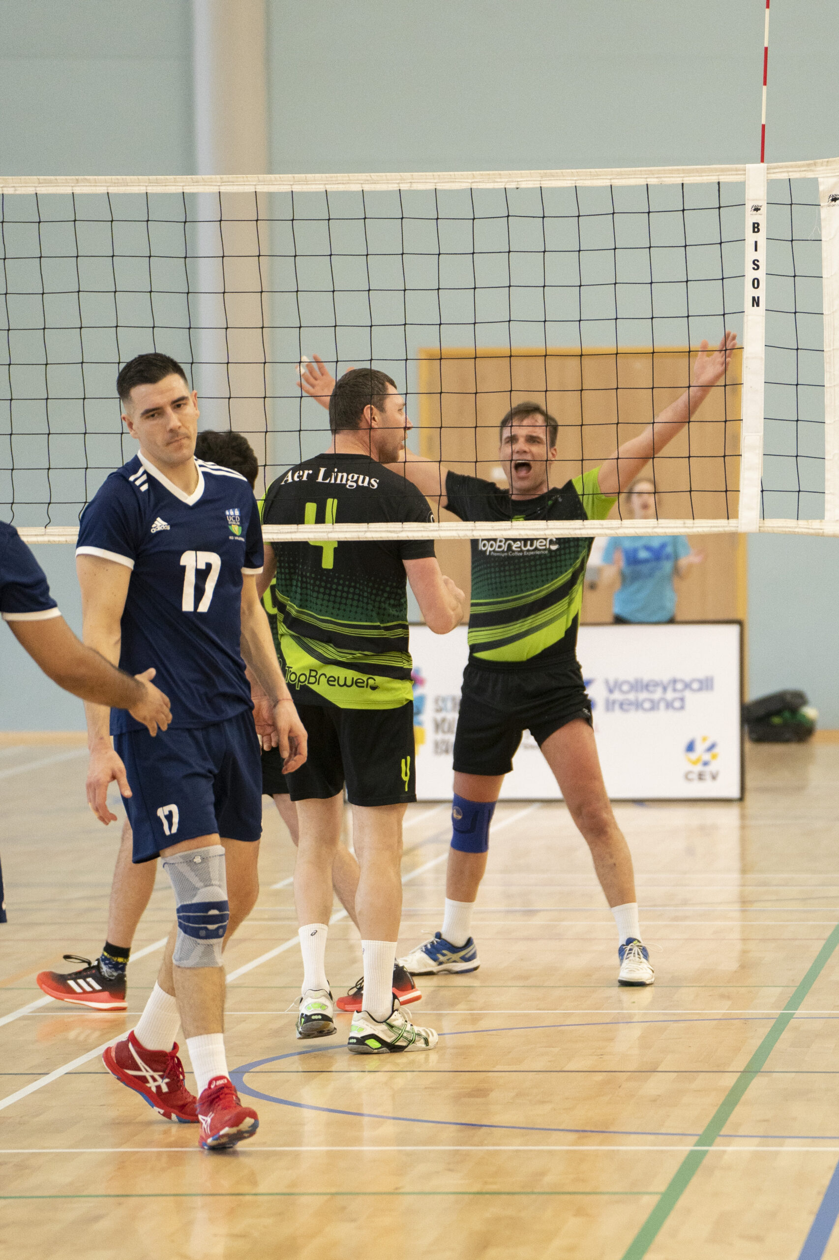 UCD overcome Aer Lingus in High Quality Cup Final | Volleyball Ireland