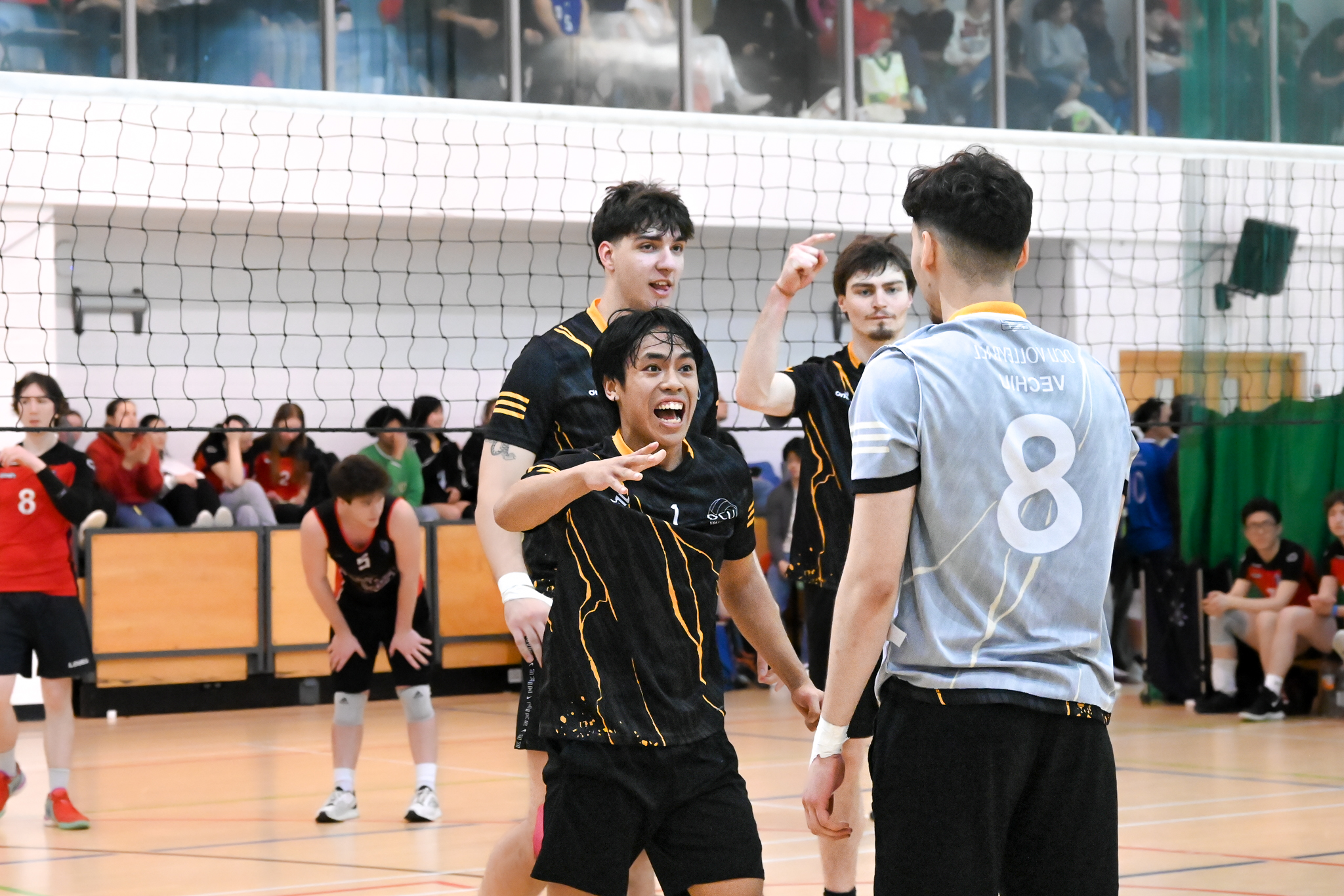 Intervarsity Championships 2025 | Volleyball Ireland